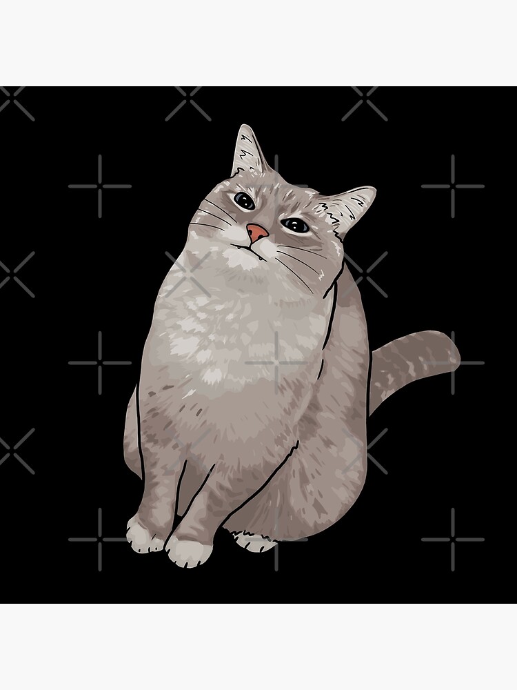 Kot Blini Memes Blini Kot (@BliniKot) / X