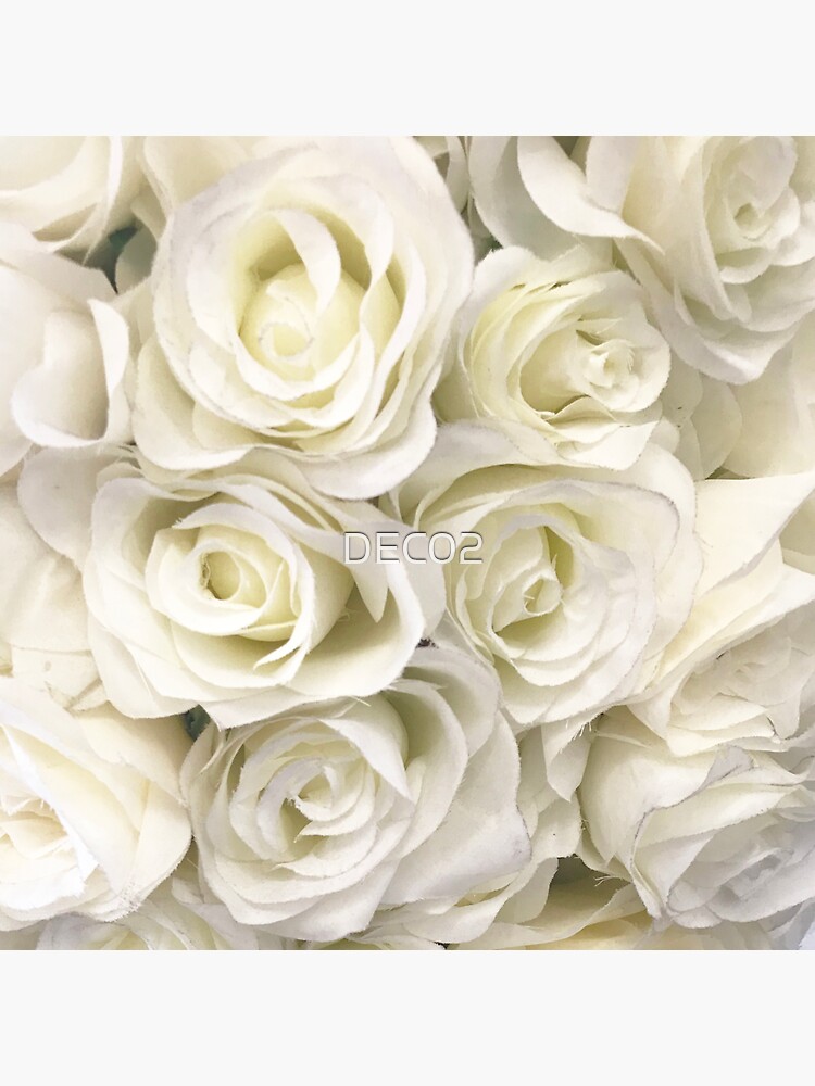 "Ivory White Roses Art Photo" Sticker for Sale by DEC02 | Redbubble
