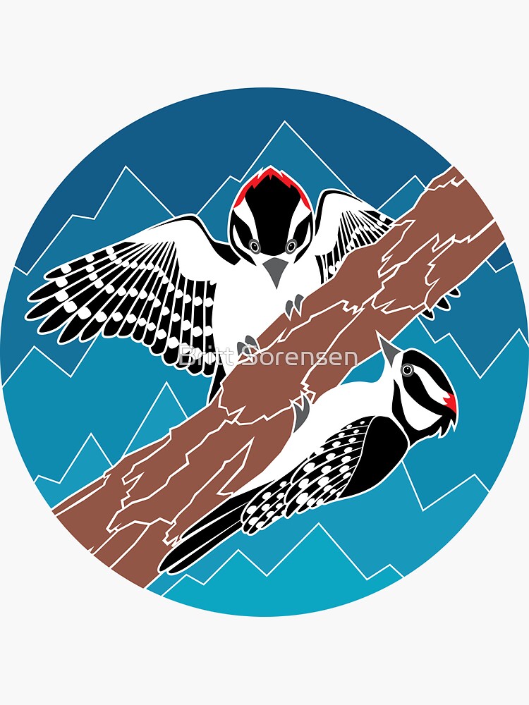 "Downy Woodpeckers" Sticker for Sale by brittja | Redbubble