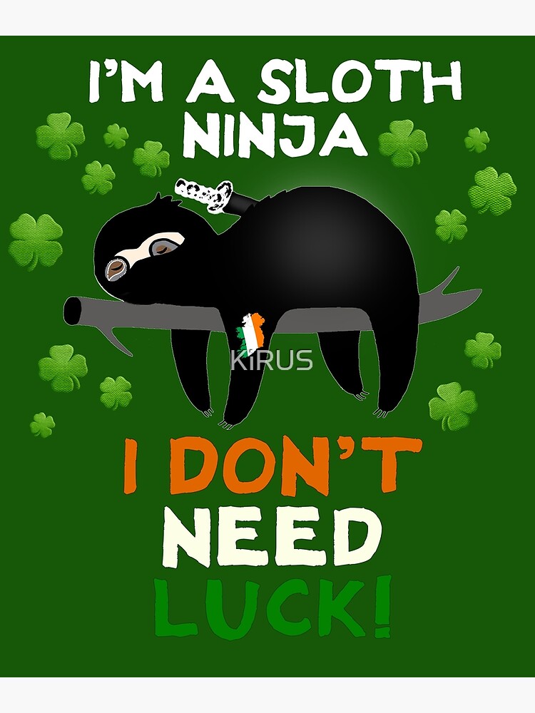 "Irish Sloth Ninja Image Tshirt - St Patricks Day Funny Gift ...