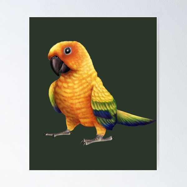 "Sun Conure - cute parrot" Poster for Sale by Mehu | Redbubble
