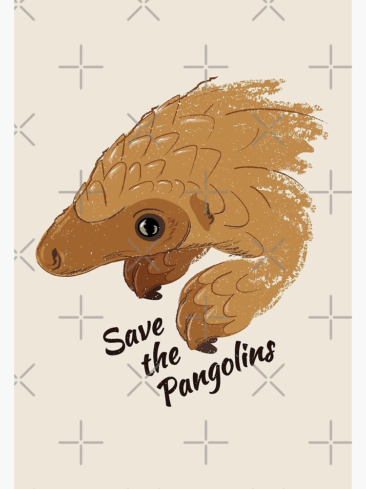 "Save The Pangolins - Baby Pangolin" Photographic Print for Sale by ...