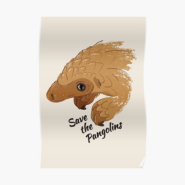 "Save The Pangolins - Baby Pangolin" Poster by Bangtees | Redbubble