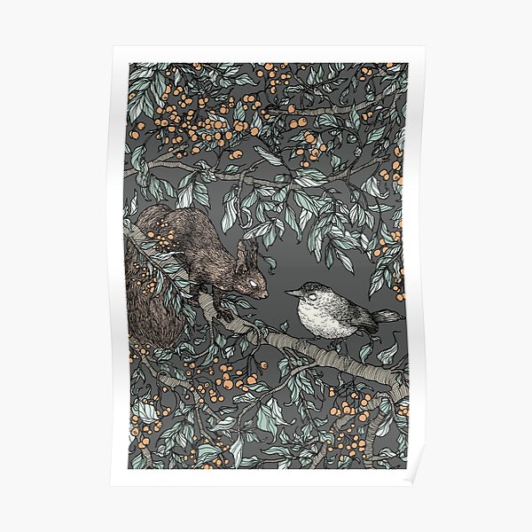 "Forest friends - squirrel and bird, art nouveau style" Poster by ...