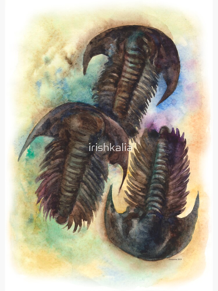 "Trilobites" Sticker by irishkalia | Redbubble