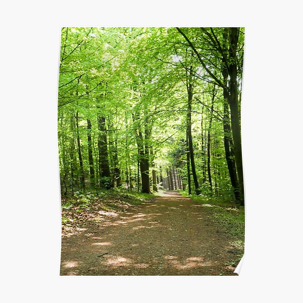 "Forest path" Poster for Sale by ramelsen | Redbubble