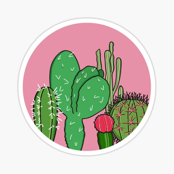 "Cacti" Sticker for Sale by daruchan | Redbubble
