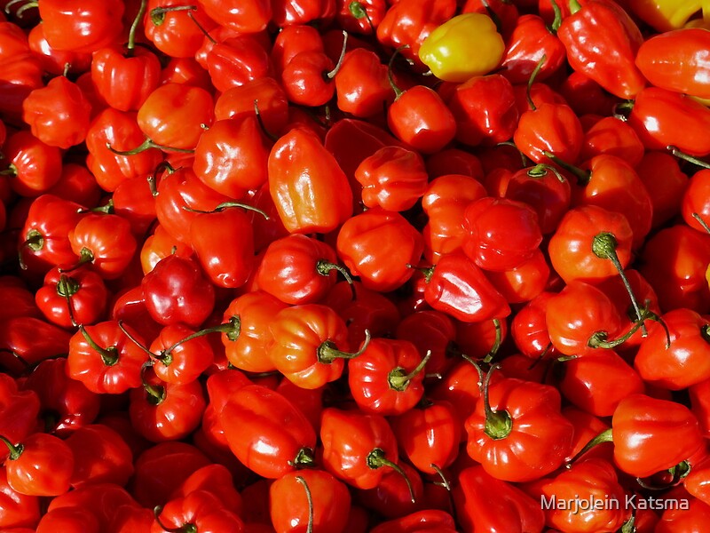 "Food - small red peppers" by Marjolein Katsma | Redbubble