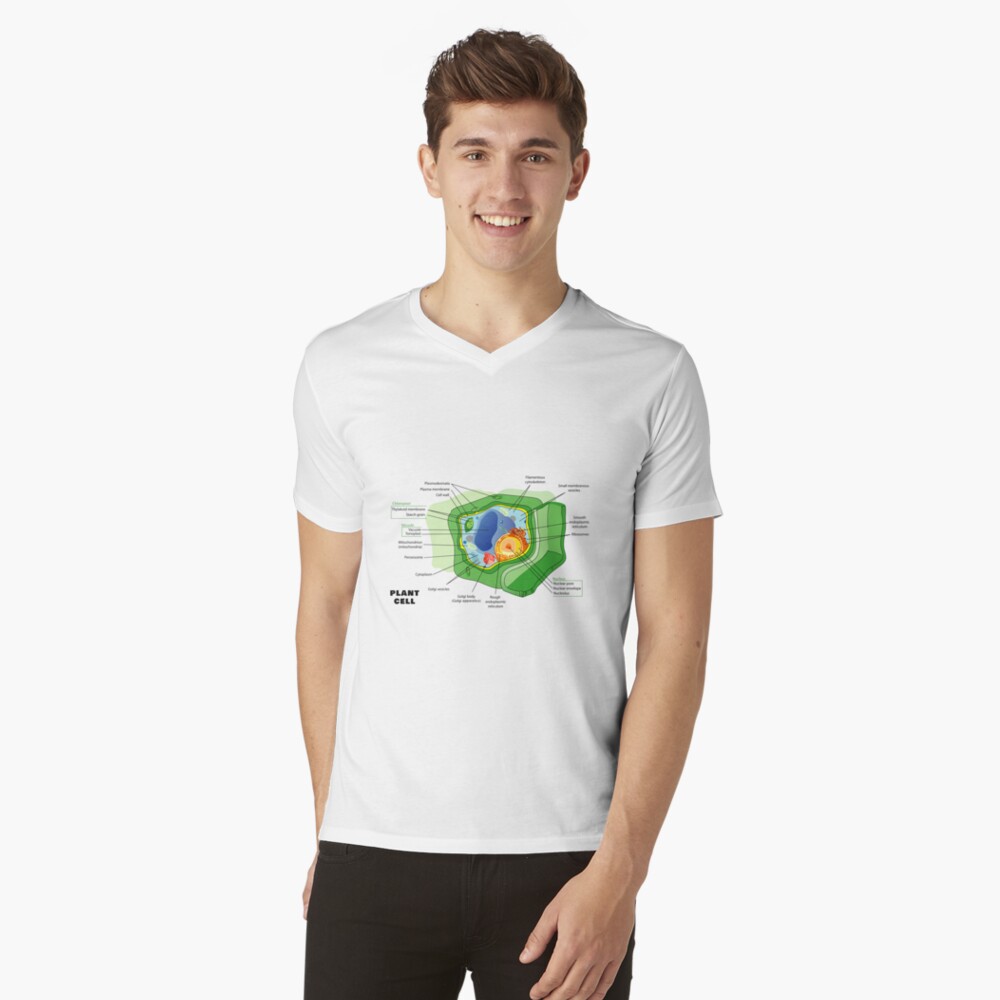 "Diagram of a Plant (eukaryotic) Cell" Sticker for Sale by allhistory ...