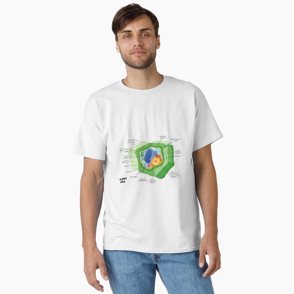 "Diagram of a Plant (eukaryotic) Cell" Sticker for Sale by allhistory ...