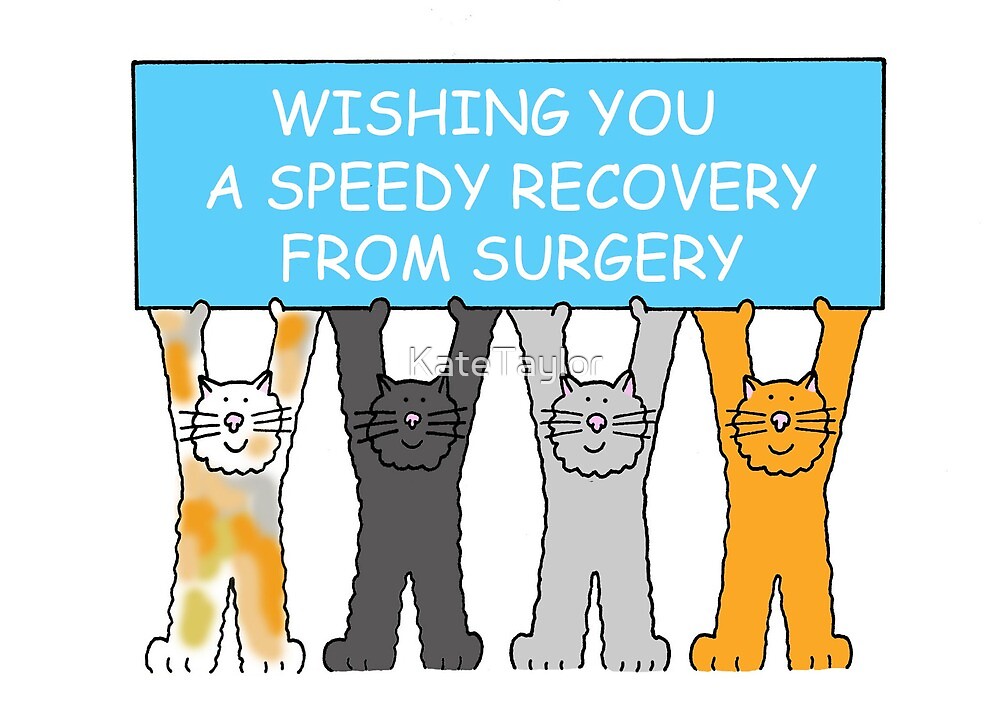 "Wishing you a Speedy Recovery from Surgery, Cartoon Cats." by ...
