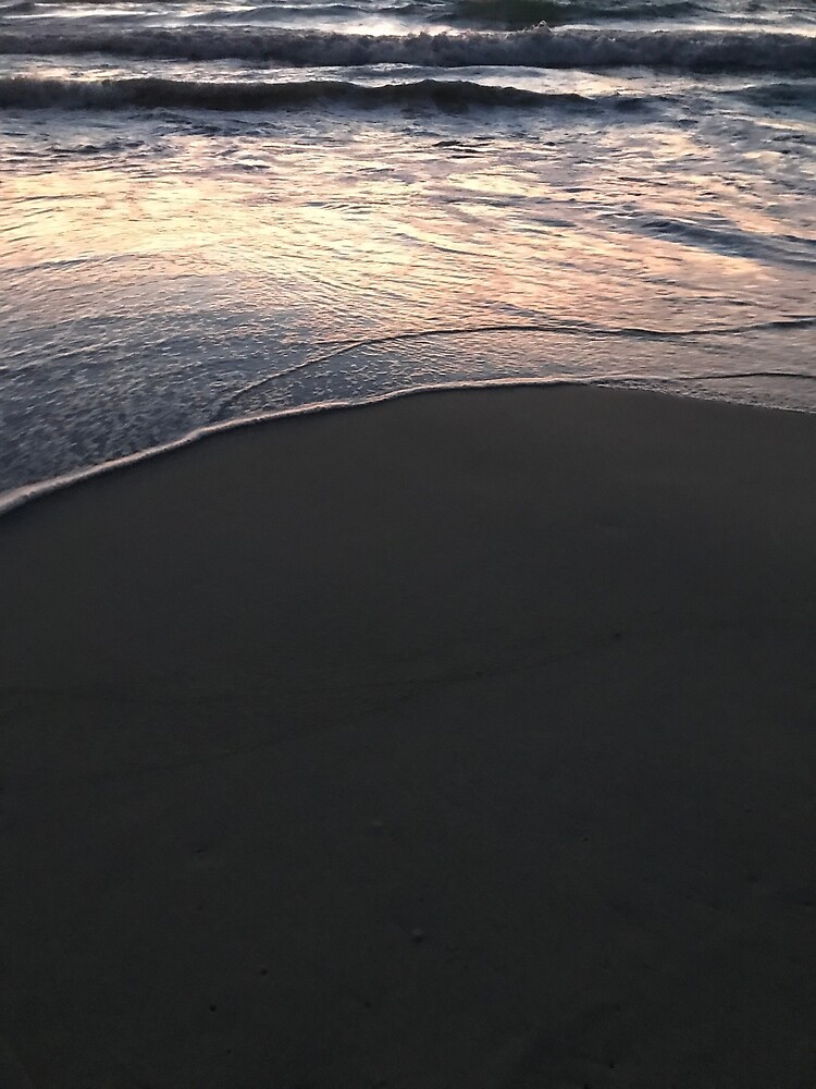 "Musk Dusk" Poster by 1FunAussie | Redbubble