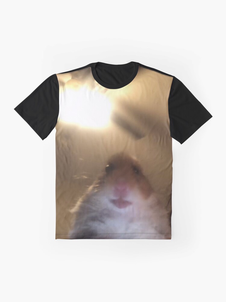 "staring hamster meme" Graphic T-Shirt for Sale by MemesnDeams | Redbubble