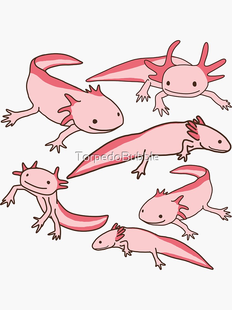 "smiley axolotl pattern" Sticker for Sale by TorpedoBubble | Redbubble