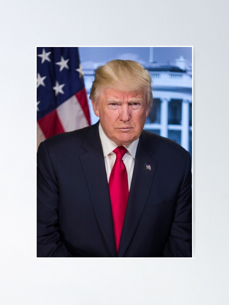 "Donald Trump Presidential Portrait" Poster for Sale by chillchar1234 ...