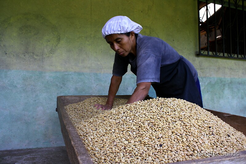 "Hand Sorting" by Jennifer Sands | Redbubble