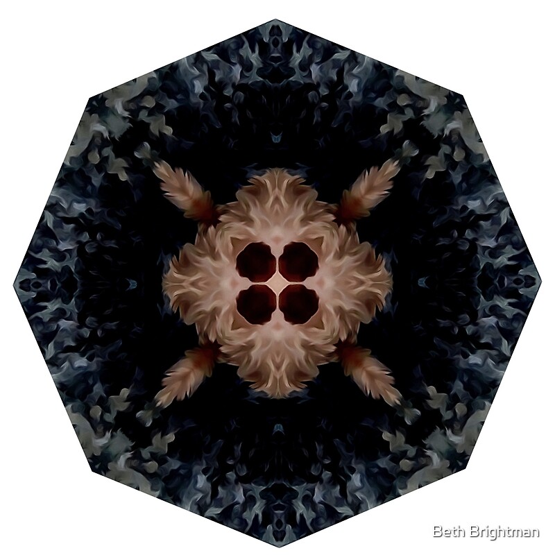 "Button of stone and wood" by Beth Brightman | Redbubble