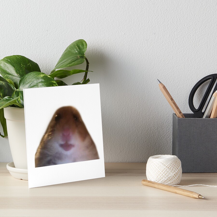 "Hamster Staring Meme" Art Board Print for Sale by solisantoyo | Redbubble