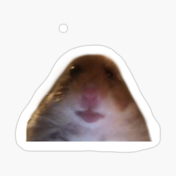 Hamster Stickers | Redbubble