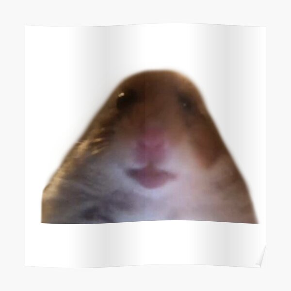 "Hamster Staring Meme" Poster for Sale by solisantoyo | Redbubble