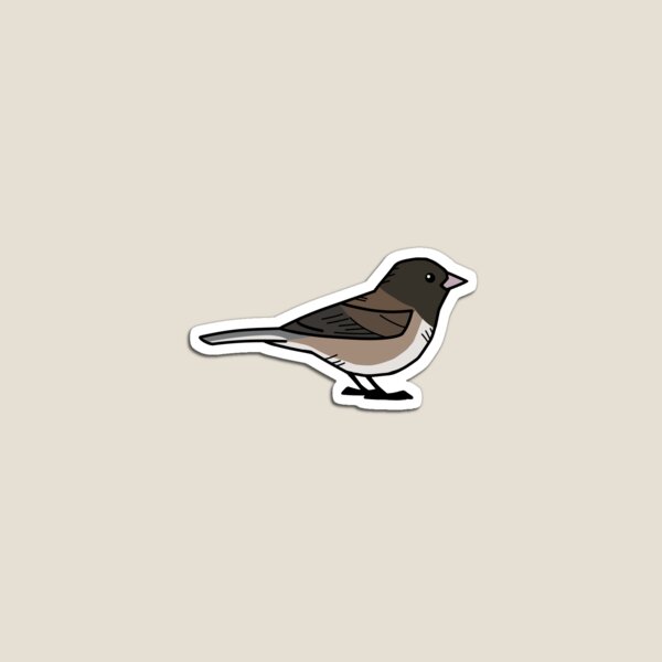Dark Eyed Junco Gifts & Merchandise | Redbubble