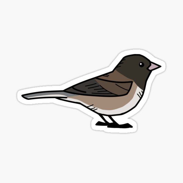 Junco Gifts & Merchandise | Redbubble