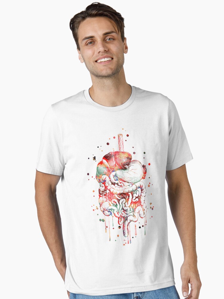 "Digestive system, anatomy art, Human Organs Gastrointestinal Tract ...