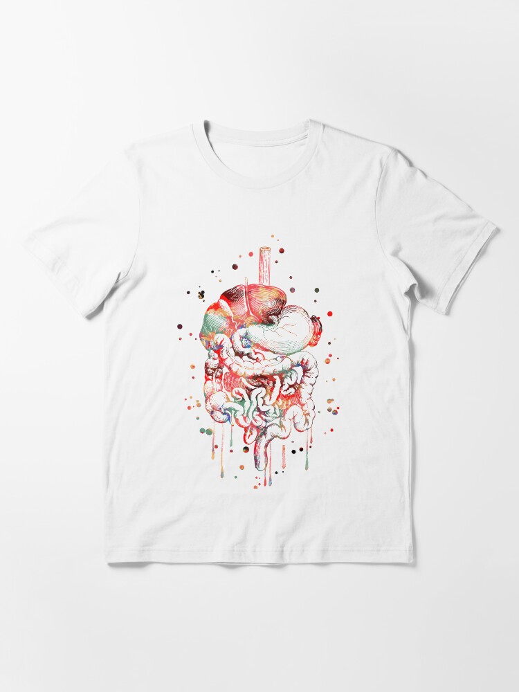 "Digestive system, anatomy art, Human Organs Gastrointestinal Tract ...