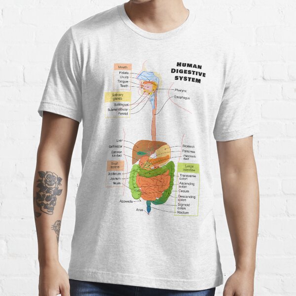 "Diagram of the Human Digestive System" T-shirt for Sale by allhistory ...