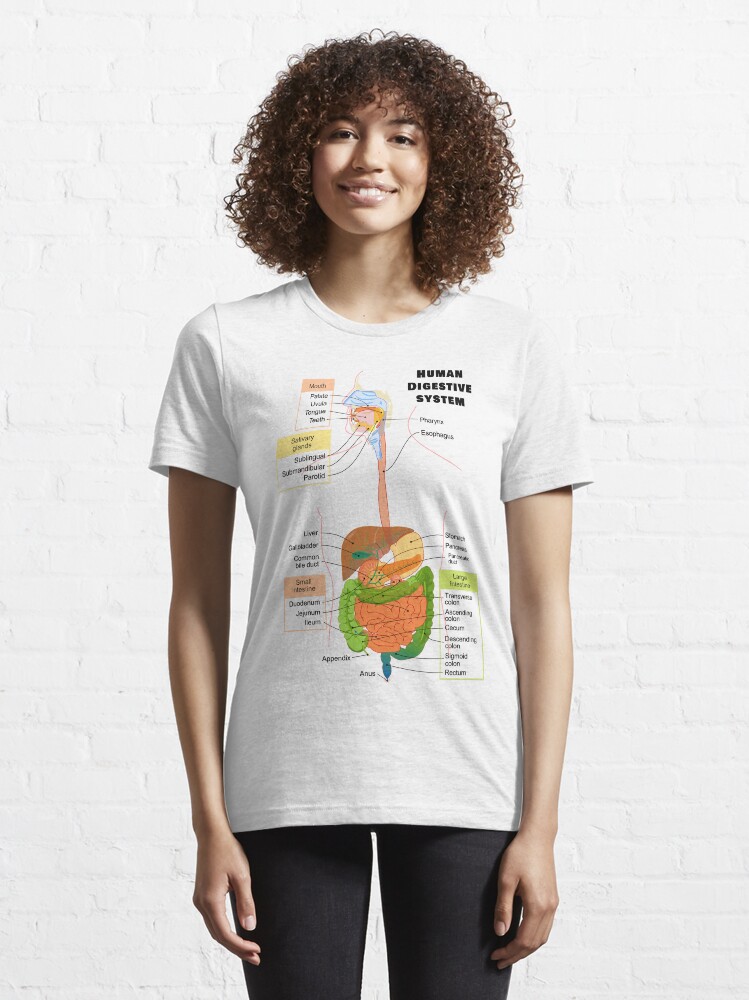 "Diagram of the Human Digestive System" T-shirt for Sale by allhistory ...