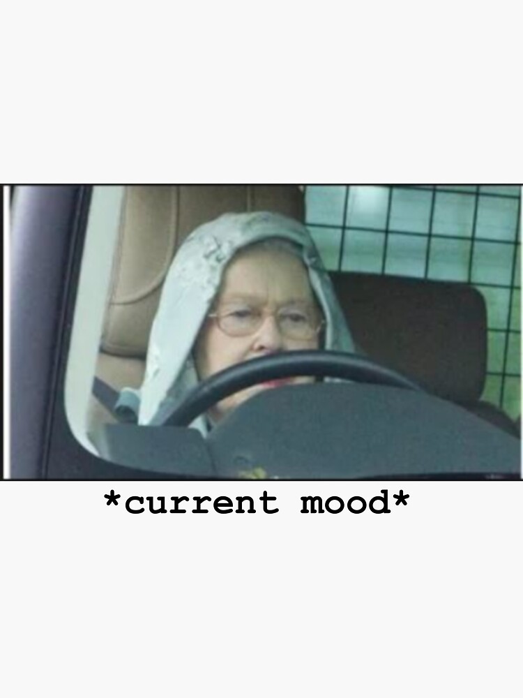 "Queen Elizabeth Driving Meme" Sticker for Sale by mayoop | Redbubble