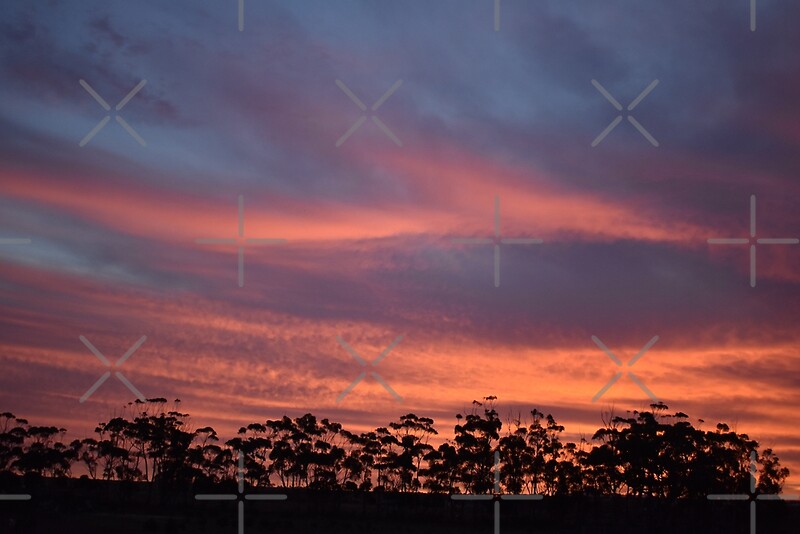 "Tree Line Sunset" by vontabulous | Redbubble