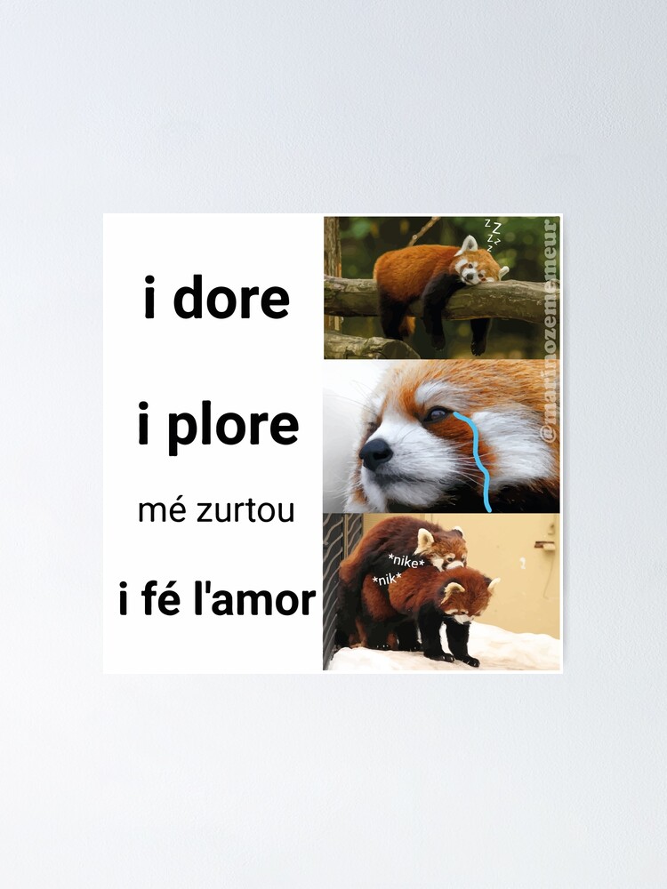 Poster avec l'œuvre « Panda roux » de l'artiste marinozememeur | Redbubble