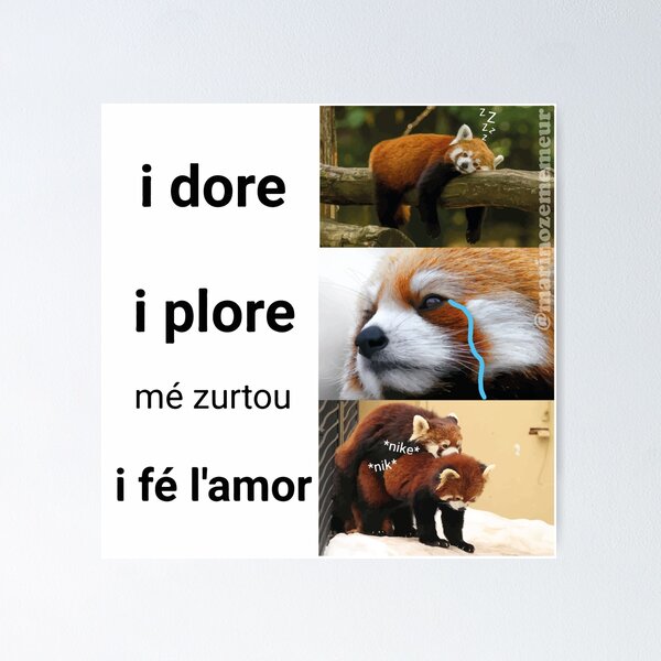 Poster avec l'œuvre « Panda roux » de l'artiste marinozememeur | Redbubble