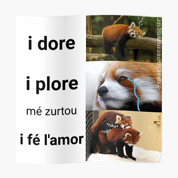 Poster « Panda roux », par marinozememeur | Redbubble