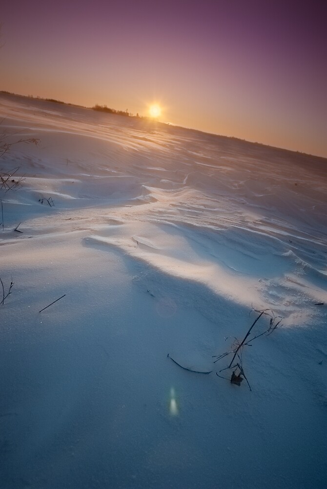 "Viking Tundra" by Troy Stapek | Redbubble