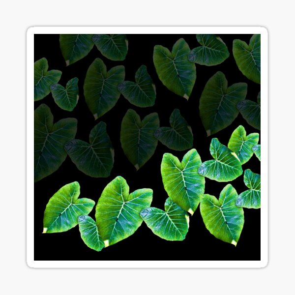 Kalo Stickers | Redbubble