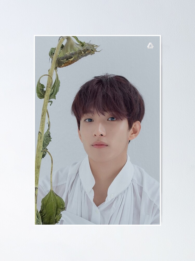 "Seventeen you make my dawn dk dokyeom seokmin" Poster by khalilahamer ...
