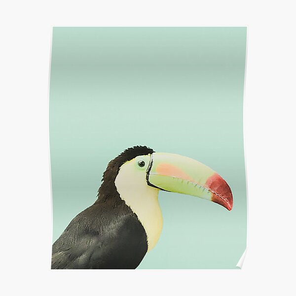"Toucan Too - pastel blue" Poster for Sale by Jordancalabrese | Redbubble