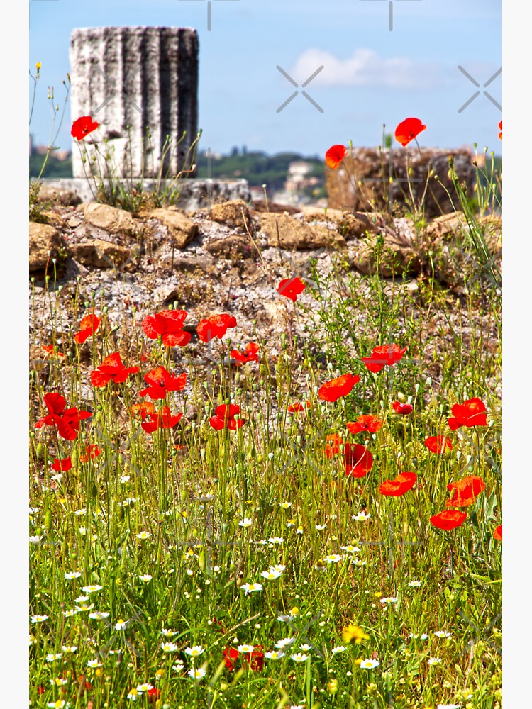 "Ancient Rome Flowers" Sticker for Sale by AdrianAlford | Redbubble