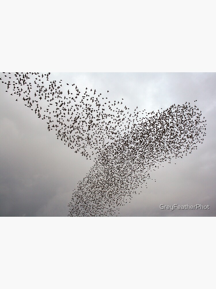 Murmurations Merch & Gifts for Sale | Redbubble