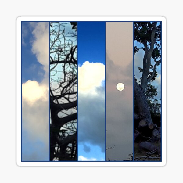 "Moon Rising." Sticker for Sale by Liliansten | Redbubble