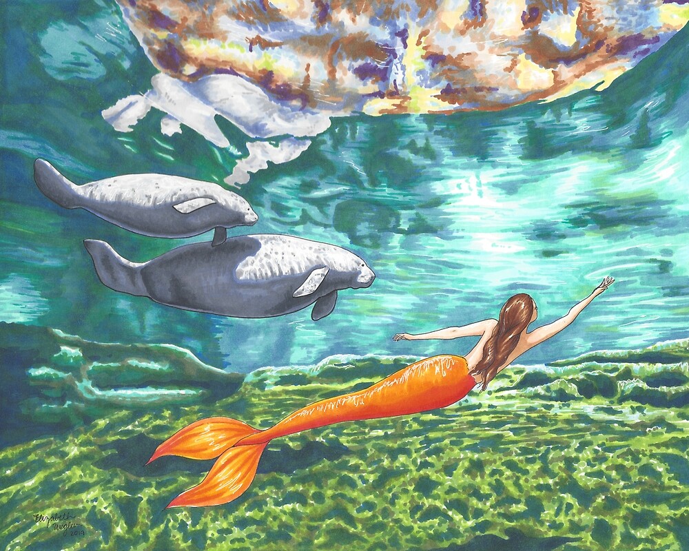 "Swimming with Manatees" by Elizabeth Weglein | Redbubble