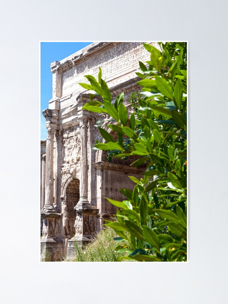 "The Roman Forum" Poster for Sale by AdrianAlford | Redbubble