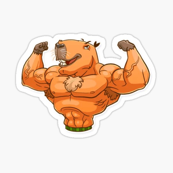 "Capybara Muscle - Cute Guinea Pig Animal Pet Zoo" Sticker for Sale by ...