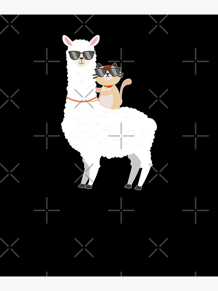 "Cute Cat Riding Llama - Animal Birthday Gift" Canvas Print for Sale by ...