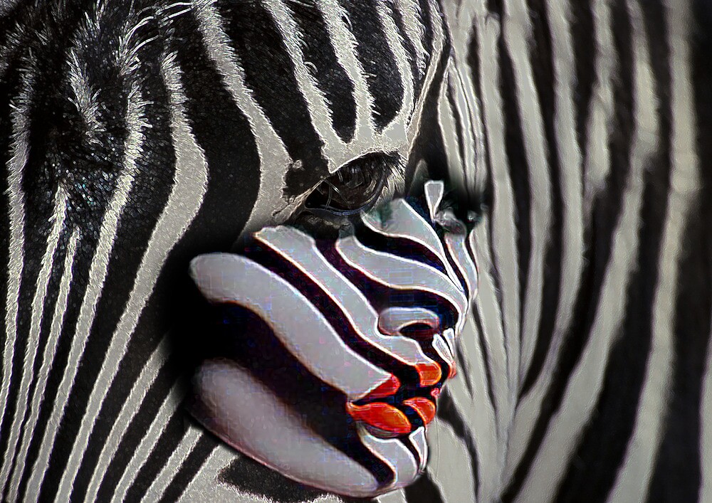 "Zebra girl" by Bill Brouard | Redbubble