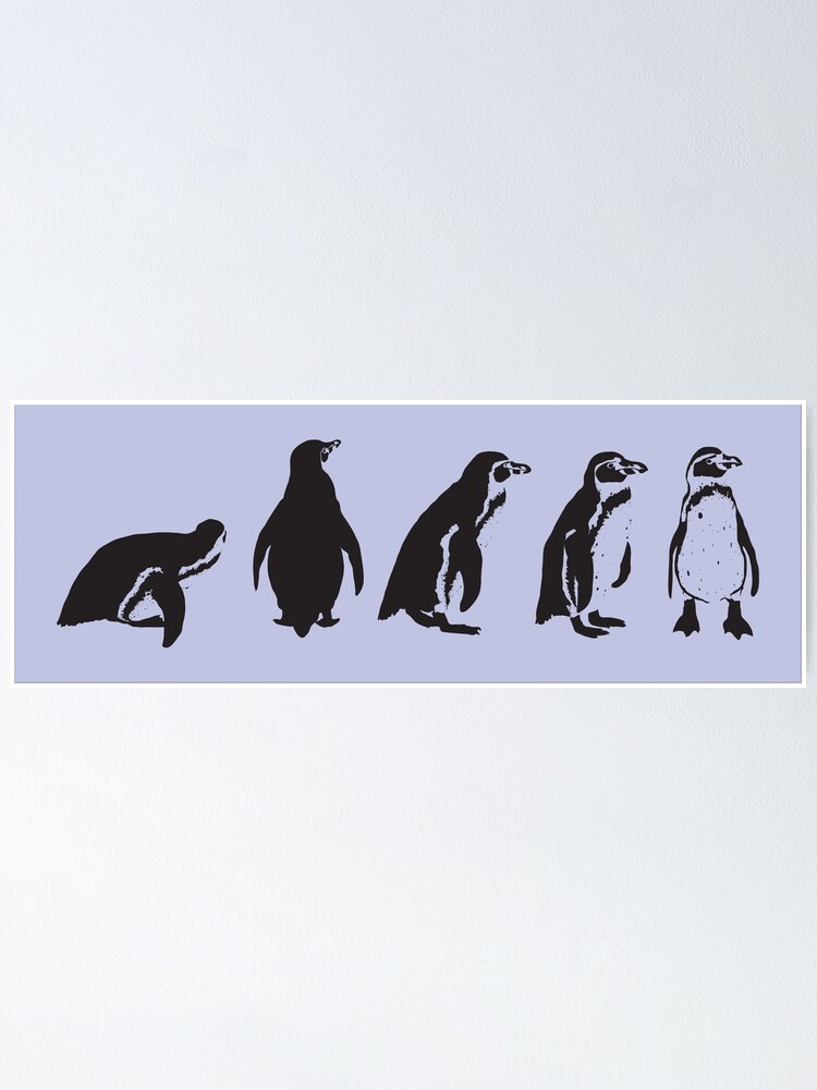 "Evolution of the penguin" Poster for Sale by rebecca712 | Redbubble
