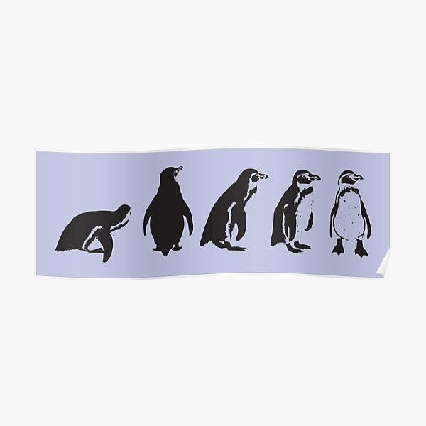 "Evolution of the penguin" Poster for Sale by rebecca712 | Redbubble