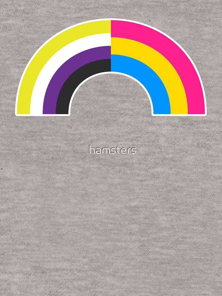 "Non-Binary Pan Rainbow" Lightweight Hoodie for Sale by hamsters ...